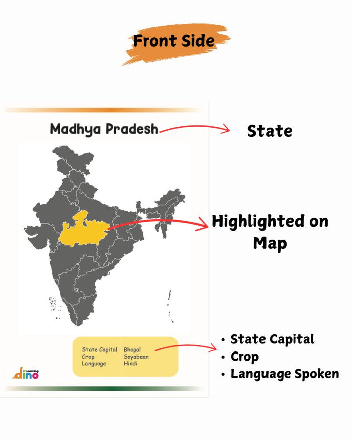 World Country Flags and India State and Capital Flashcards Combo For k